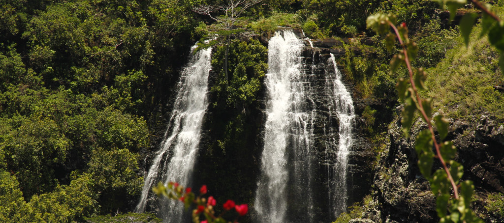 7+ Best Easy-to-view Waterfalls in Kauai