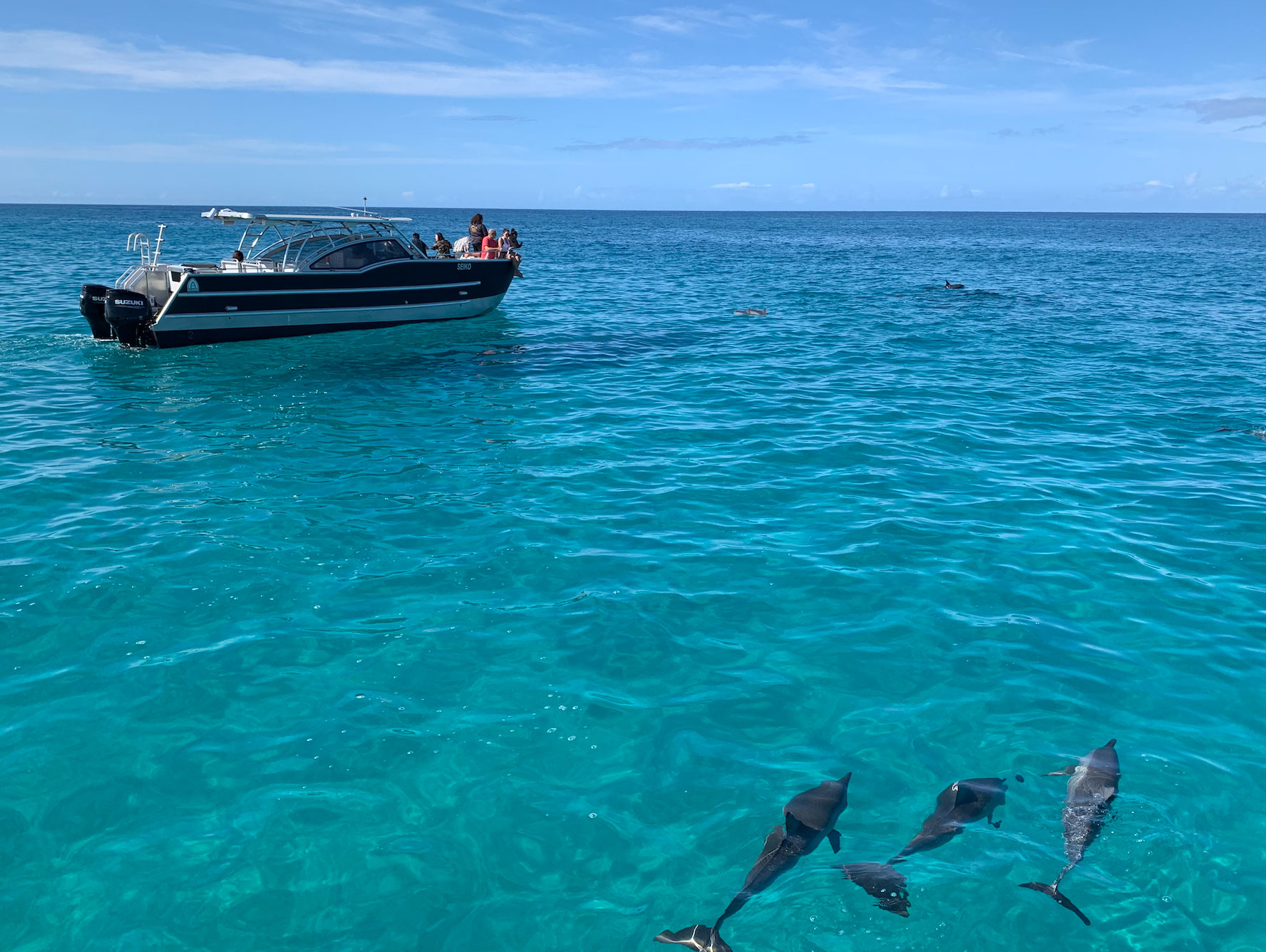 Na Pali Coast Tours The Best Boat Tour In Kauai